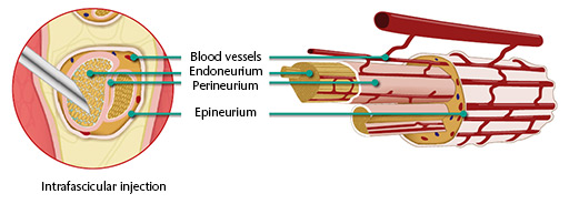 Hospimedica Group